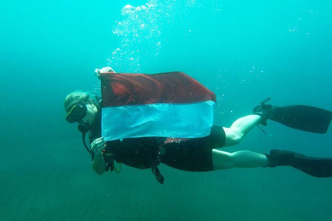 Try Scuba Diving at Tulamben Shipwreck - A Practical Look at the Experience