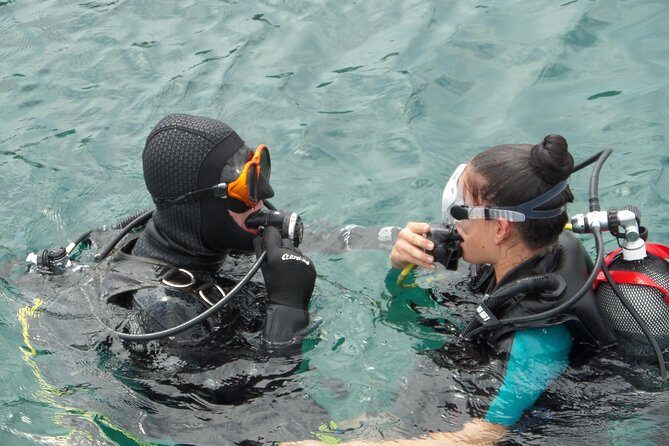 Try Scuba Diving! - Crikvenica/ Krk island - What Makes This Experience Special?