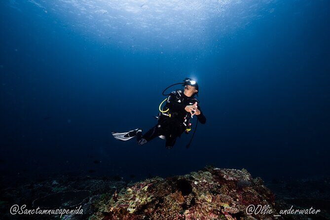 Try Scuba Diving for Beginners with manta rays (Non - Certified) - Who Should Book This Tour?