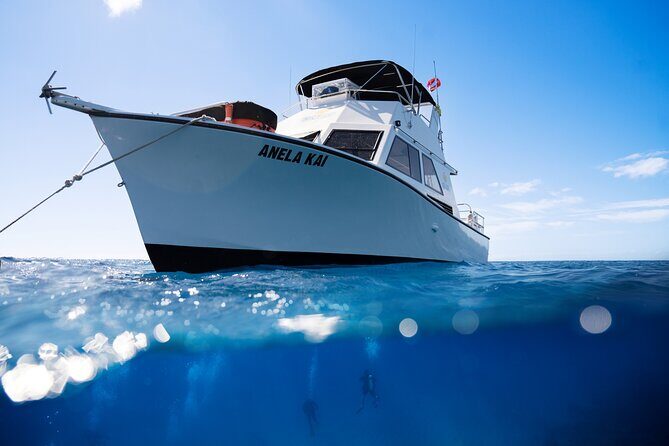 Try Scuba Diving in Kauai From a Boat for Non-Certified Divers - An In-Depth Look at the Kauai "Try Scuba" Experience