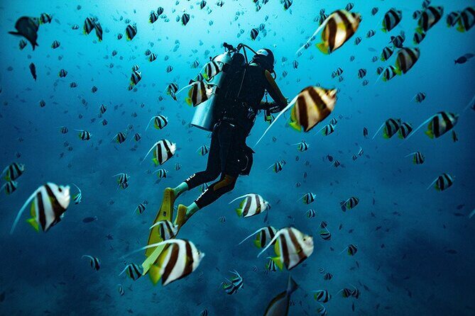 Try Scuba Diving in Kauai: No Experience Needed - Introduction