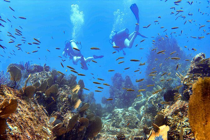 Try Scuba Diving in Kauai: No Experience Needed - Key Points