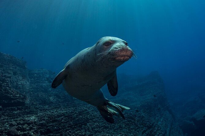 Try Scuba Diving in Kauai: No Experience Needed - The Experience Through the Eyes of Participants