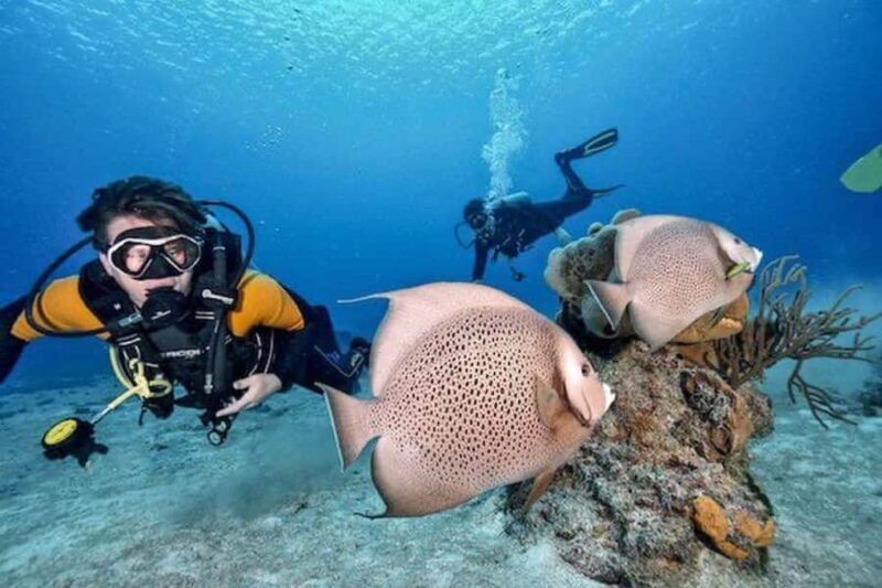 Try Scuba Diving in Playa del CarmenDive Machine Experience - Key Points