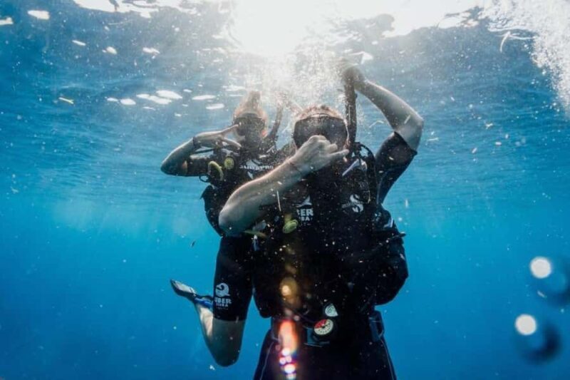 Try Scuba Diving in Playa del CarmenDive Machine Experience - What Makes This Experience Special