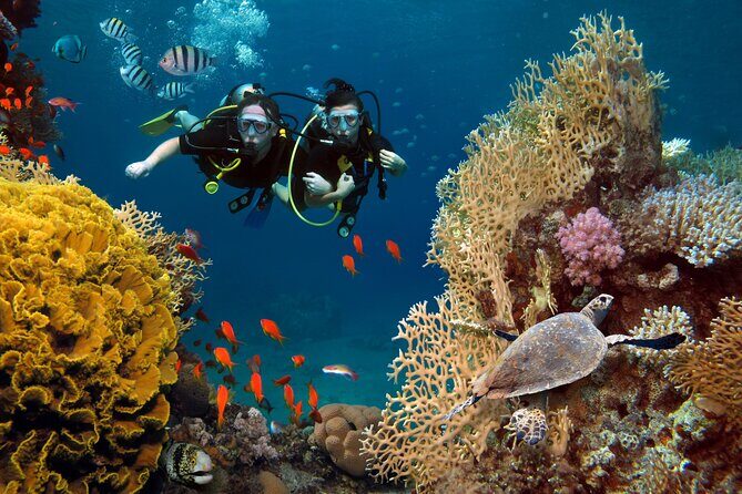 Try Scuba Diving in Racha Yai and Noi for Non-Certified - Key Points
