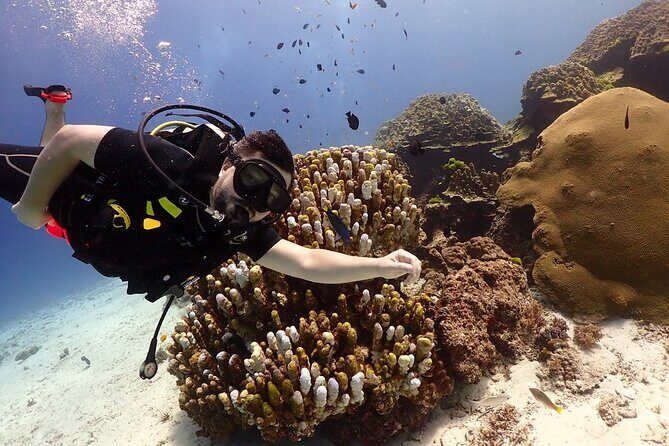 Try Scuba Diving in Racha Yai and Noi for Non-Certified - A Closer Look at the Experience