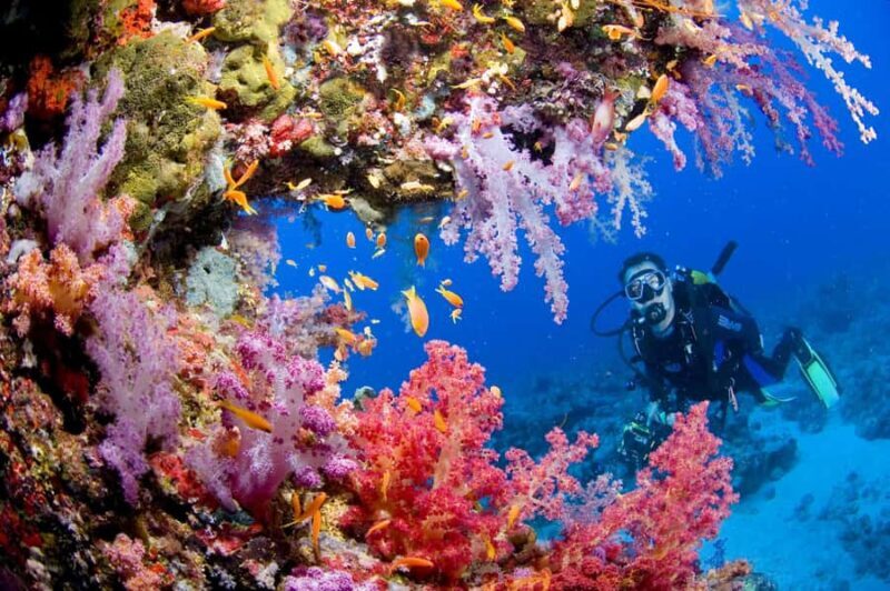 Try Scuba Diving in Racha Yai/noi: 3 Dives for Non-Certified - A Detailed Look at the Racha Yai and Noi Experience