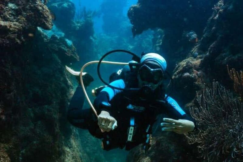 Try Scuba Diving in Tulum Dive Machine Experience - An In-Depth Look at the Tulum "Try Scuba Diving" Tour