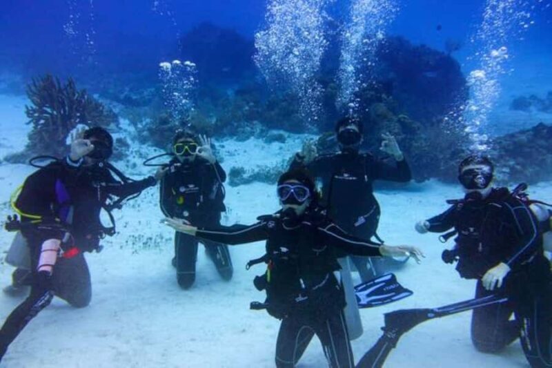 Try Scuba Diving in Tulum Dive Machine Experience - The Sum Up