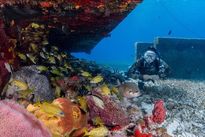 Try Scuba Diving - No previous experience! - Key Points