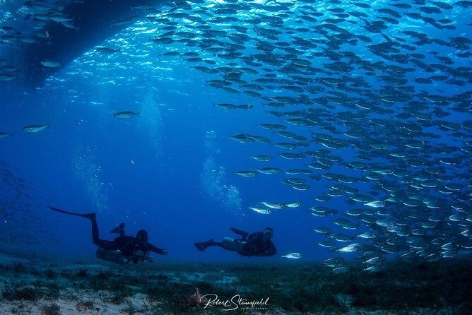 Try Scuba Diving - No previous experience! - Analyzing the Value