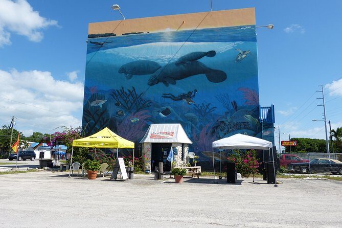 Try Scuba Diving with Professional Scuba Instructor - An In-Depth Look at the Experience