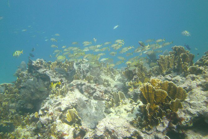 Try Scuba Diving with Professional Scuba Instructor - Final Thoughts