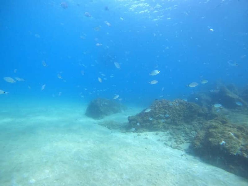 TRY SCUBA - Experience for beginners - Key Points