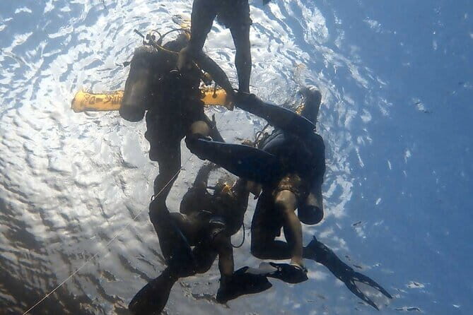 TRY SCUBA (SSI Basic Diver) Your First Dive Experience in Bali - What Is the Basic Diver Program?