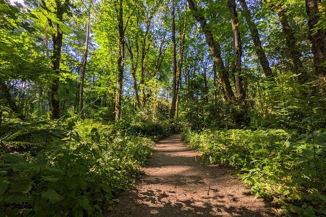 Tryon Creek Eco-tour With a Master Naturalist - What to Expect at Tryon Creek State Natural Area