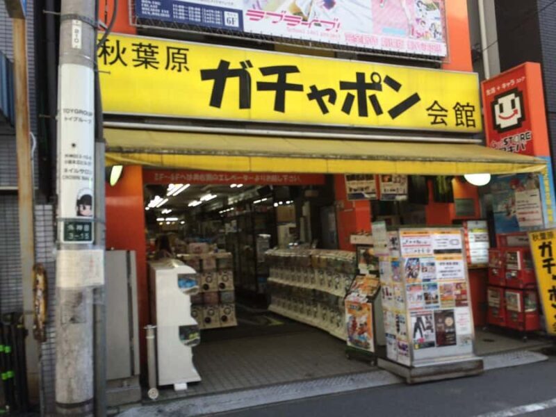 Tsukiji Fish Market Walk + Akihabara Pop Culture Explore - Who Should Consider This Tour?