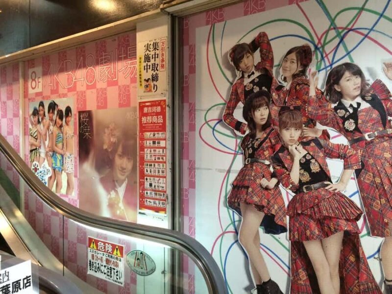 Tsukiji Fish Market Walk + Akihabara Pop Culture Explore - Final Summary