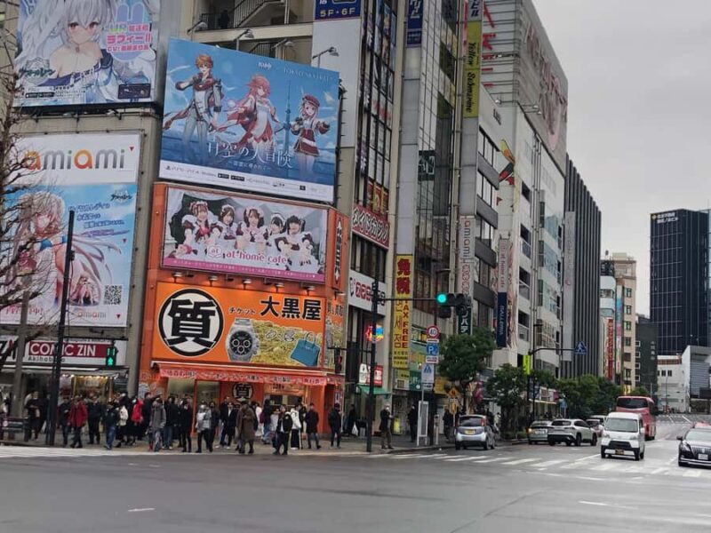 Tsukiji Fish Market Walk + Akihabara Pop Culture Explore - FAQ