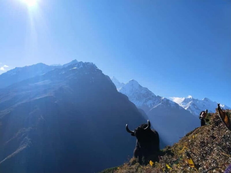 Tsum Valley: 16-Day Trek - What’s Included and What’s Not — Making Your Budget Work