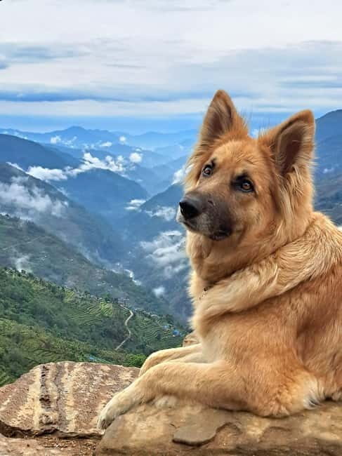 Tsum Valley: 16-Day Trek - Final Words: Is the Tsum Valley Trek Right for You?