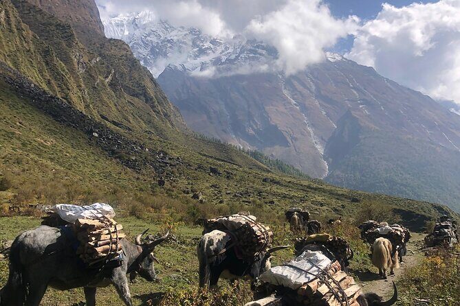 Tsum Valley Trekking - The Sum Up