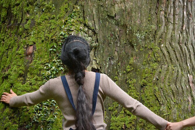 Tsuwano Cycling Tour with Local Guide - The Sum Up