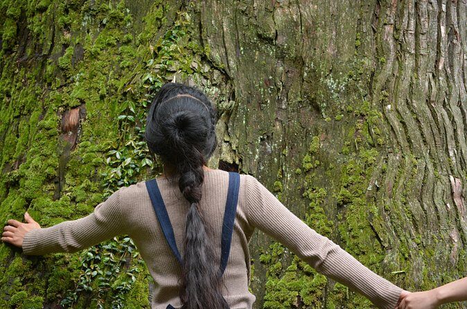 Tsuwano Cycling Tour with Local Guide - FAQ