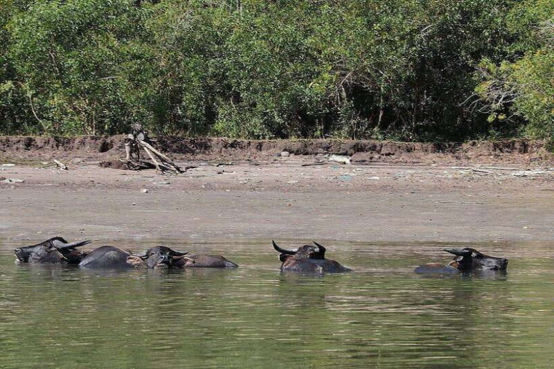 Tuaran, Sabah: Mengkabong Paradise - Introduction