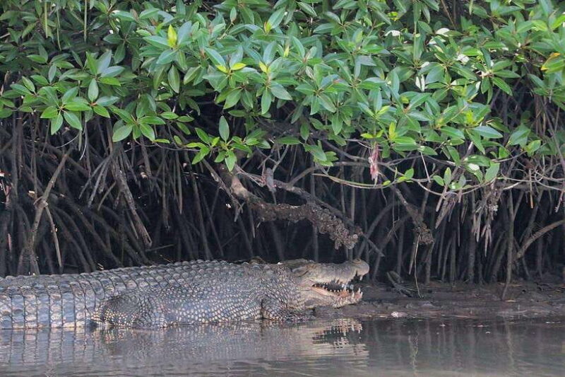 Tuaran, Sabah: Mengkabong Paradise - What Travelers Can Expect and Tips for Enjoyment