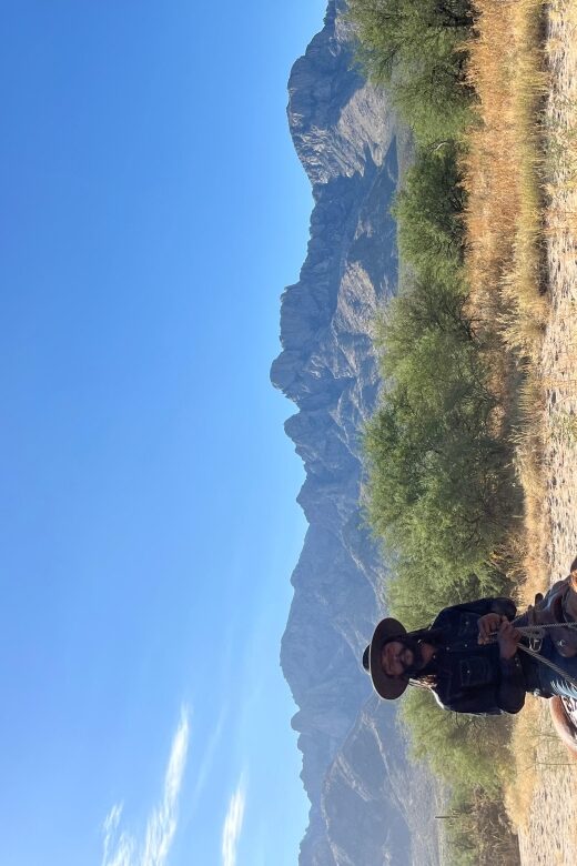 Tucson: Guided Horseback Ride - Who Will Love This Tour?