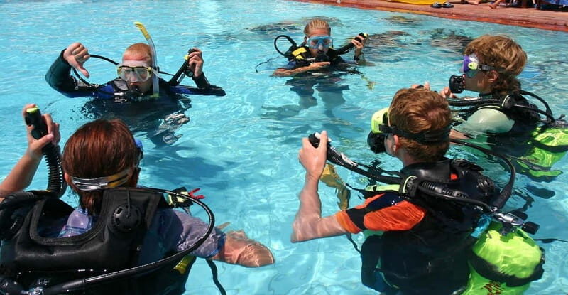 Tuepi: Adriatic Sea Diving Lessons with Guided Dive & Gear - The Value and Atmosphere