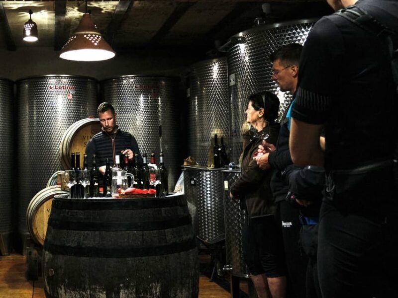Tuheljske Toplice: Klanjec Wineries Tour by E-Bike - A Closer Look at the Klanjec Wineries Tour