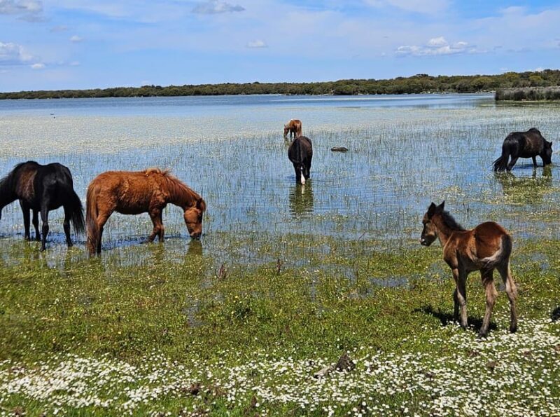 Tuili: Wild Giara Tour - An Itinerary Designed for Connection