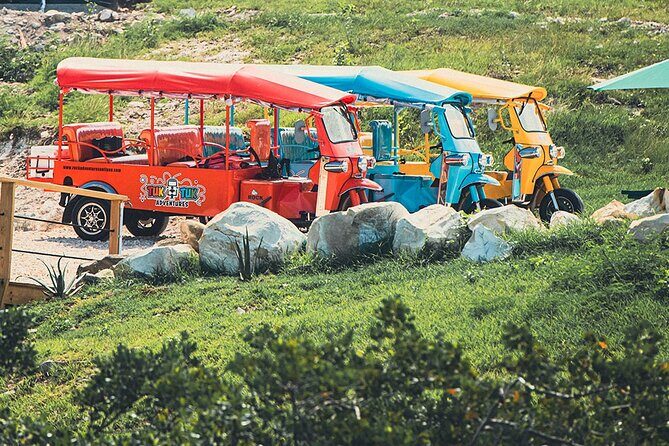 Tuk-Tuk Adventures Rainforest and Beach Hopping Tour - Who Will Love This Tour?