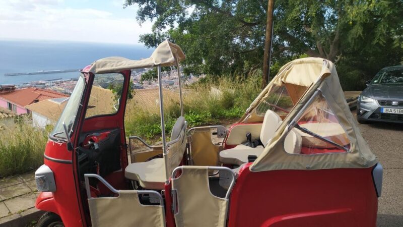 Tuk Tuk Botanical Garden - Madeira Island - What Is the Tuk Tuk Botanical Garden Tour?