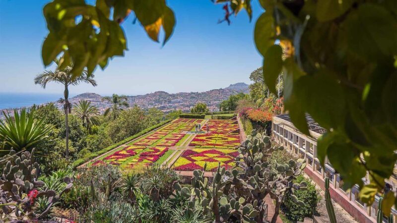 Tuk Tuk Botanical Garden - Madeira Island - Who Should Consider This Tour?