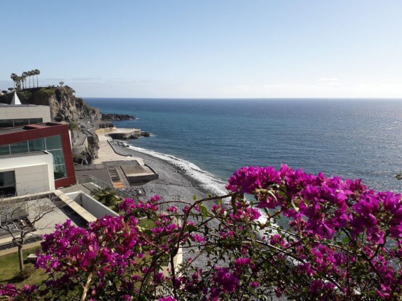 Tuk Tuk Cabo Girão - Madeira Island - What Travelers Say