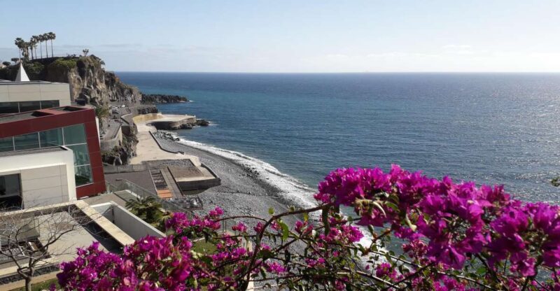 Tuk Tuk Câmara de Lobos - Madeira Island - Why This Tour Offers Great Value