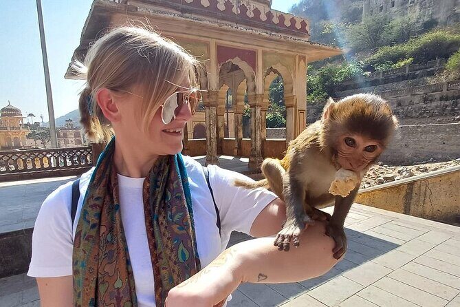 Tuk-Tuk Heritage Tour of Jaipur - The Sum Up: A Small Investment for Big Experiences