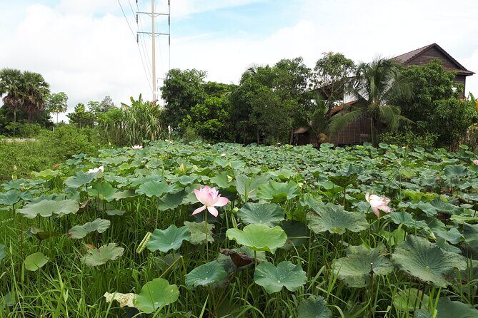 Tuk Tuk Journey: Exploring Rural Life and Silk Farm Craftsmanship - Why This Tour Works