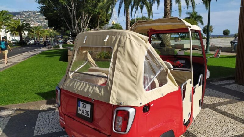 Tuk Tuk Monte Toboggan - Madeira Island - Final Thoughts