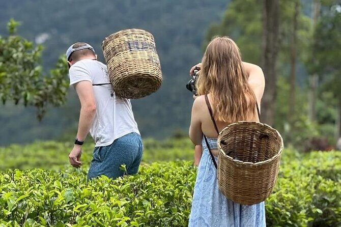 Tuk Tuk Nuwara Eliya Tea Falls Adventure - Key Points