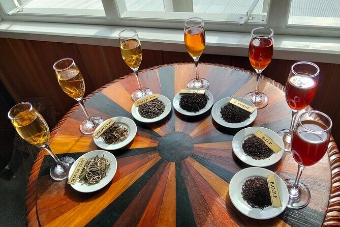 Tuk Tuk Nuwara Eliya Tea Falls Adventure - An In-Depth Look at the Tour