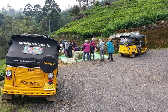 Tuk Tuk safari and Picnic in The Tea Plantation from Ella,Haputale & Bandarawela - In-Depth Look at the Itinerary