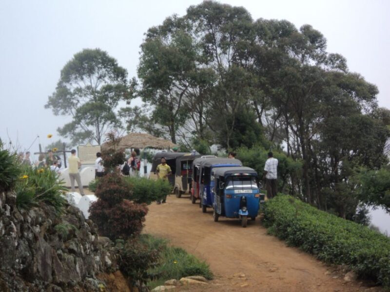 Tuk-Tuk Safari Liptons seat,Tea Fields Hike,TeaFactory Tour - Who Is This Tour Best For?