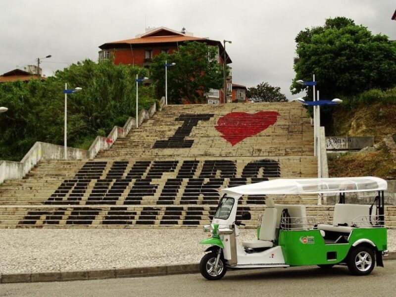 Tuk Tuk Tour in Aveiro - Introduction: A Delightful Way to See the City