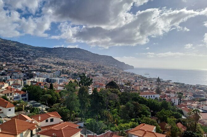 Tuk Tuk tour in Funchal - FAQ