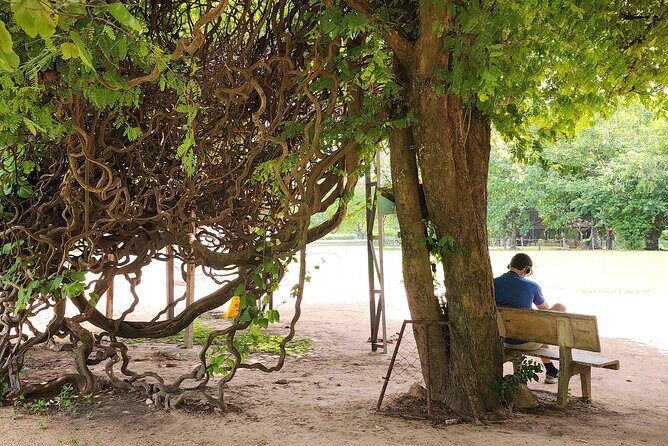 Tuk-Tuk Tour to Killing Field and Genocide Museum - Who This Tour Is Best For